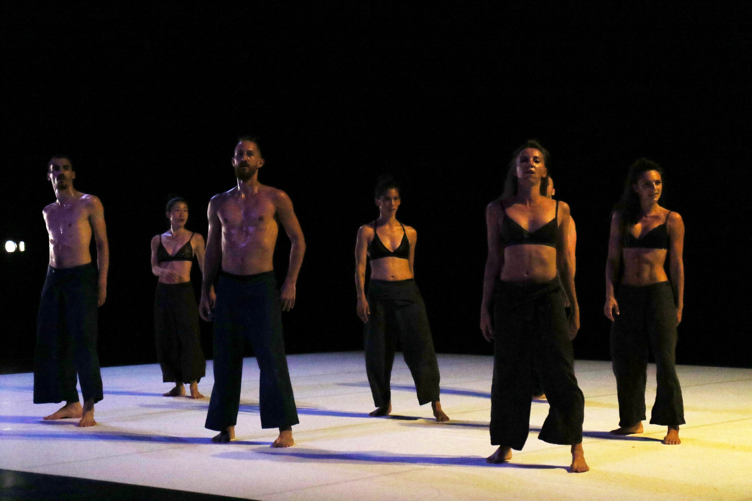 Tanssia kokemassa – mitä Täydenkuun Tanssit tarjosi maallikoille ...